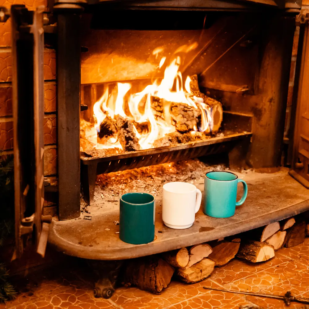 Grejanje na drva i ugalj | Eklix