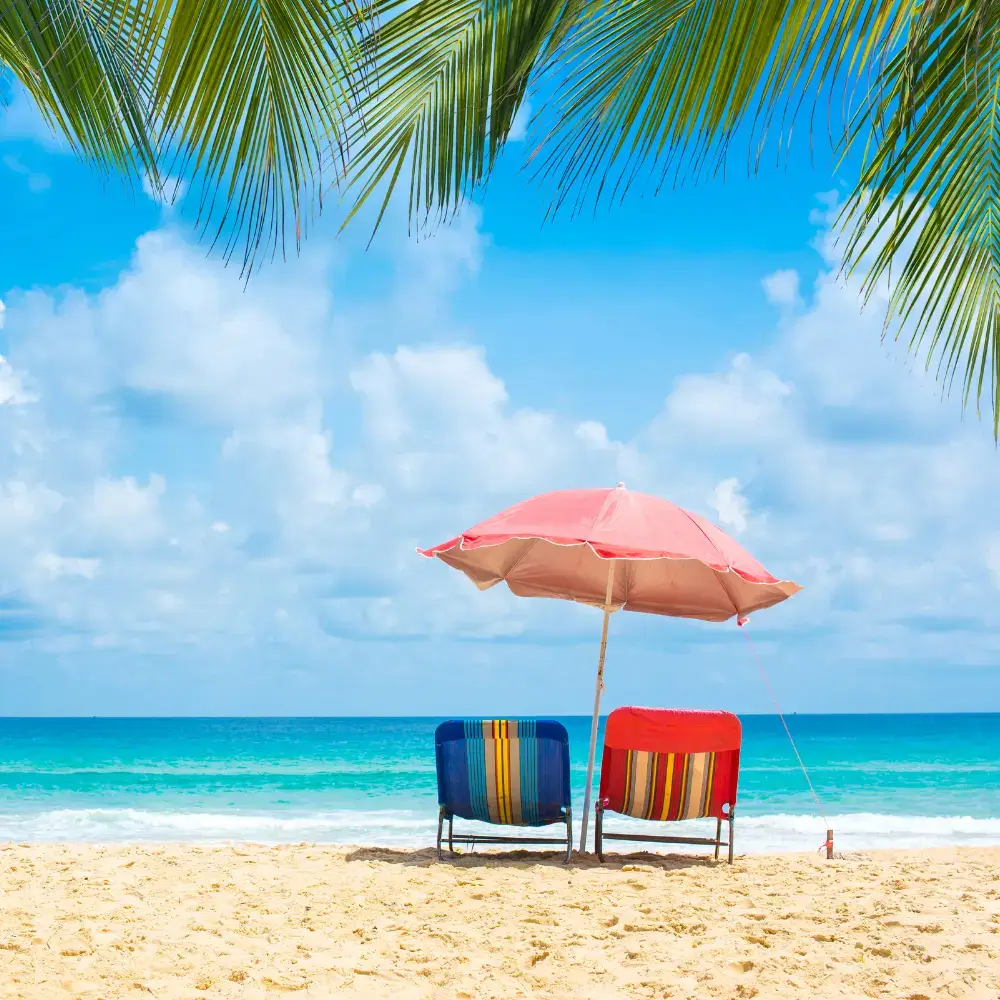 Plažni program | Eklix