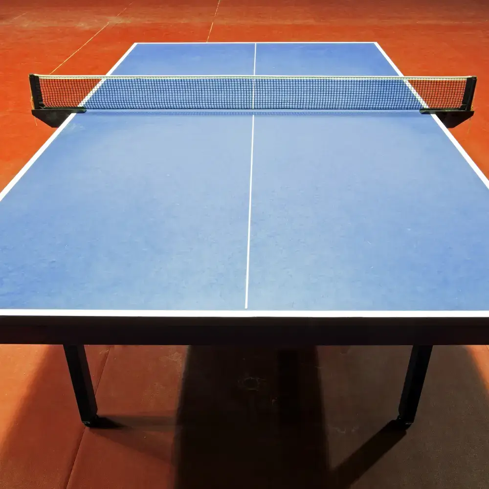 Stoni sportovi | Eklix