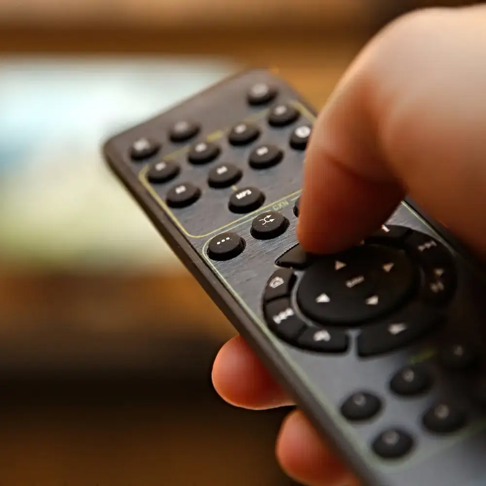 Daljinski za TV i AV | Eklix