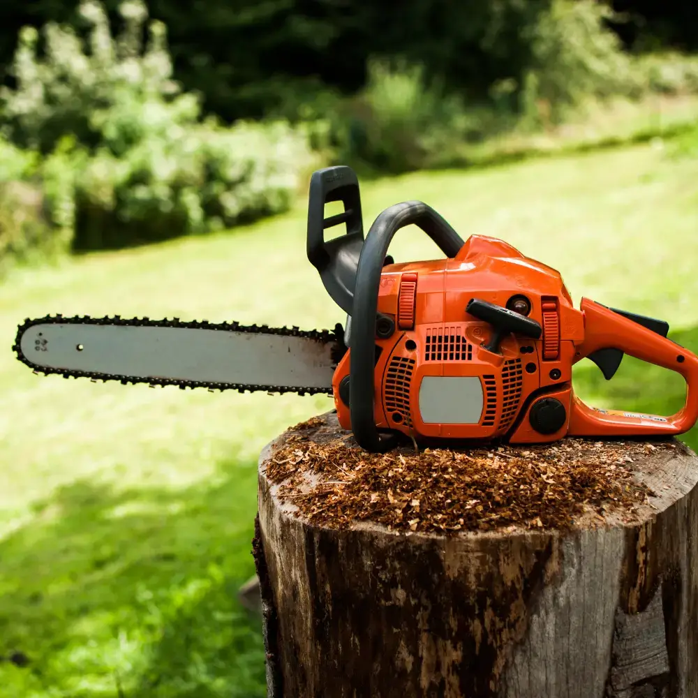 Motorne testere | Eklix