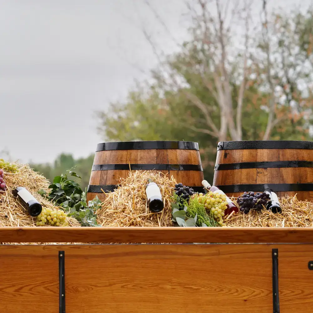 Oprema za vino i rakiju | Eklix